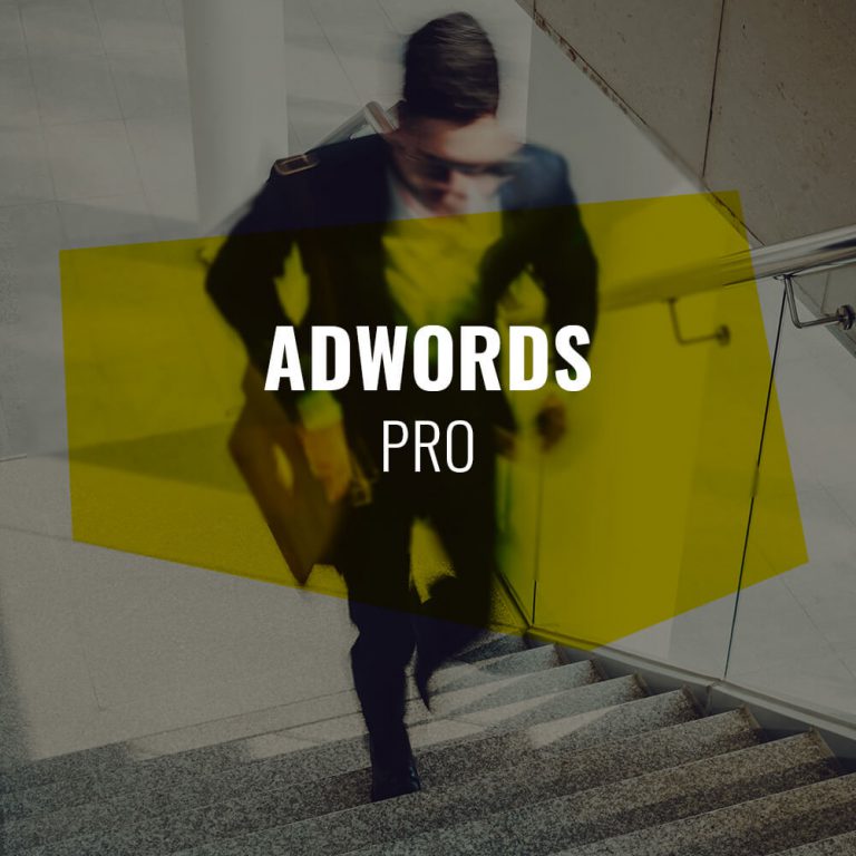 ADWORDS - PRO- Mensuel - Caviar Agency